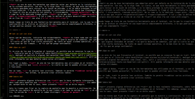 bat un cat con alas - atareao con Linux