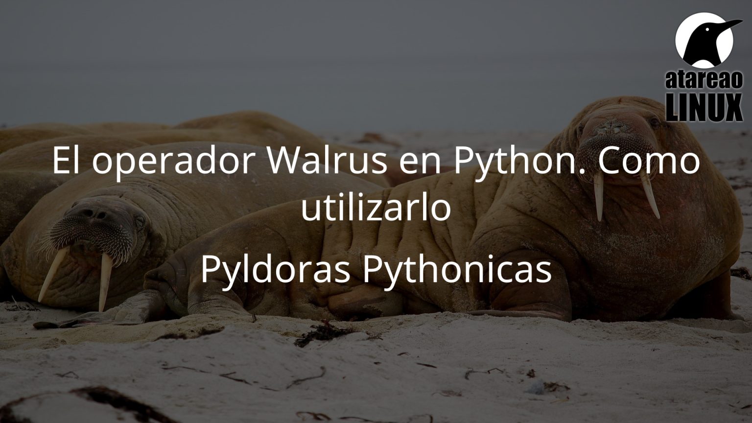 El operador walrus en Python. Como utilizarlo. - atareao con Linux